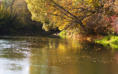 MIDDLETON TOWNSHIP – Where tradition meets tomorrow.